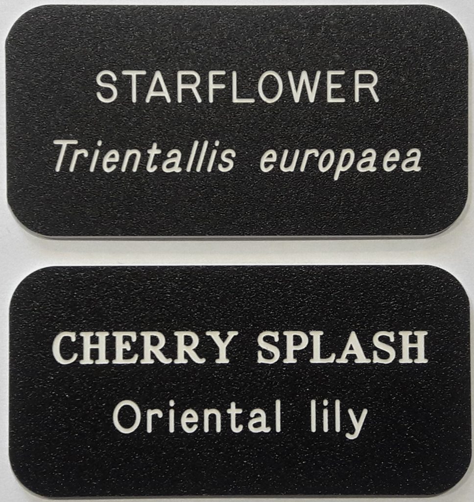 custom-fonts-for-plant-labels - Sunshine Engravers - Garden Markers and ...